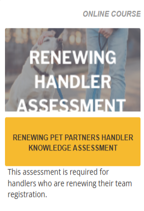 Therapy Animal Program